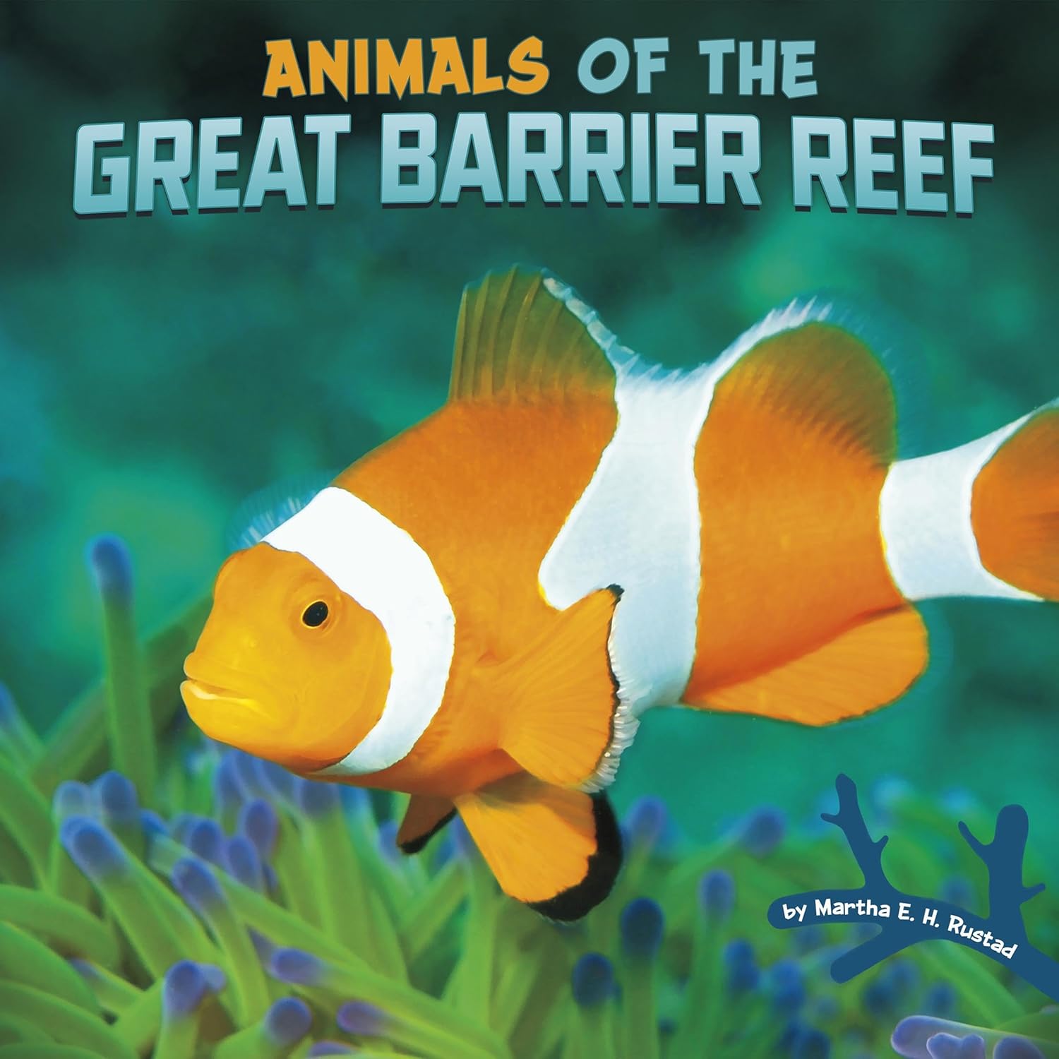 Amazon.com: Animals of the Great Barrier Reef: Wild Biomes (Audible ...