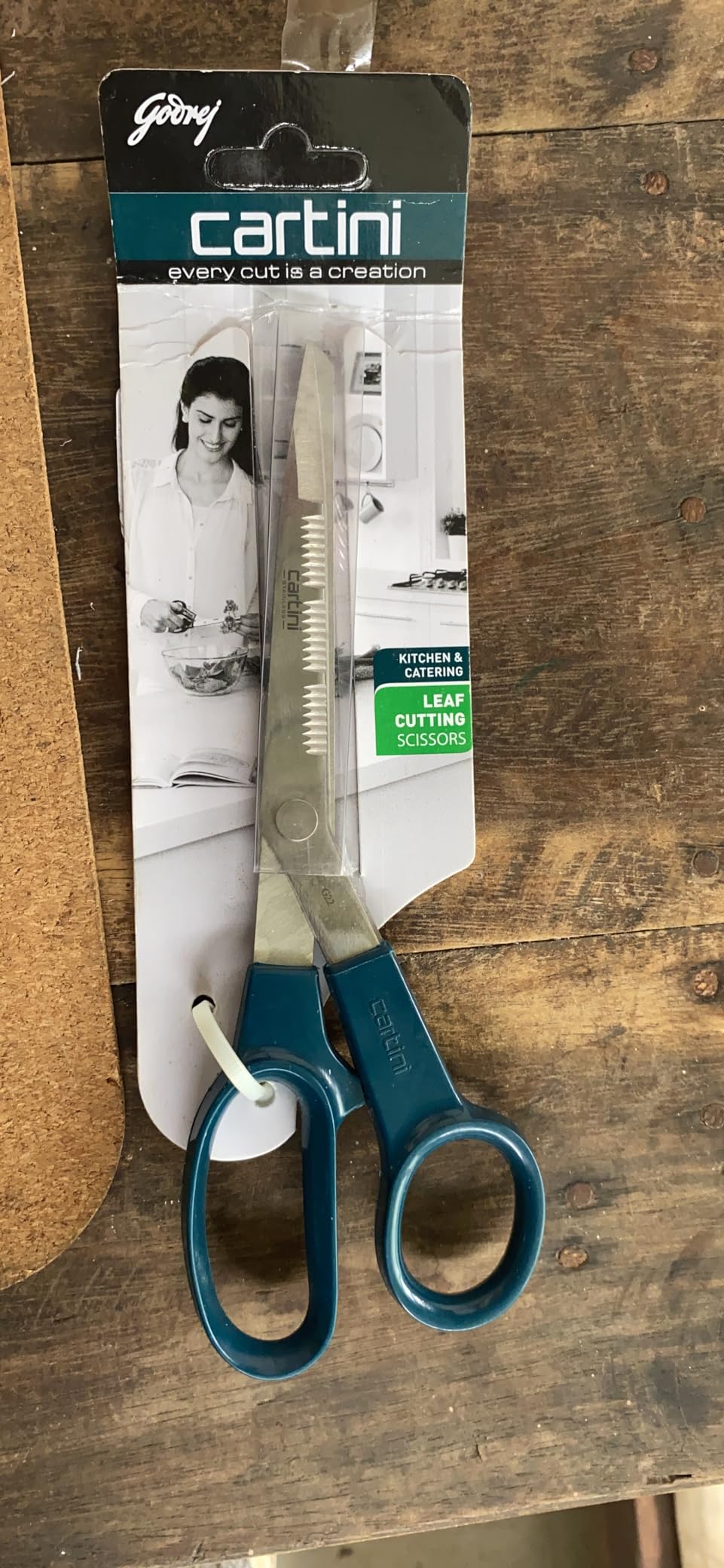 Buy Godrej Cartini Stainless Steel Leaf Cutting Scissors, Teal Online ...