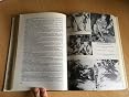 Selous Scouts: Top Secret War (Books on Rhodesia/Zimbabwe War): Amazon ...
