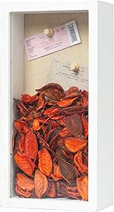 Amazon.com - Increased Fire Shadow Box Frame 5x10 Shadow Box Display ...