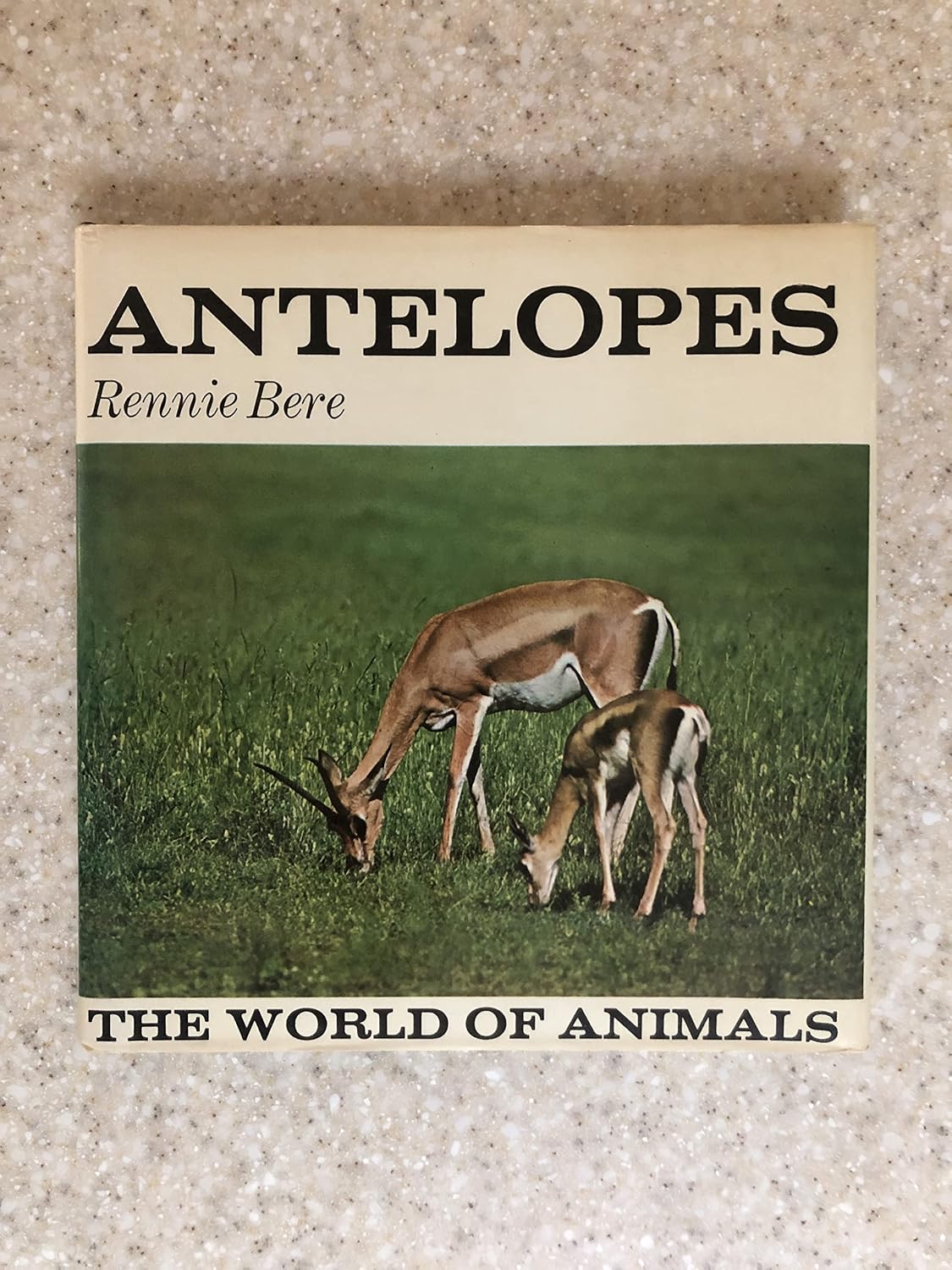 Antelopes (The World of animals): Bere, Rennie Montague: 9780668018463 ...