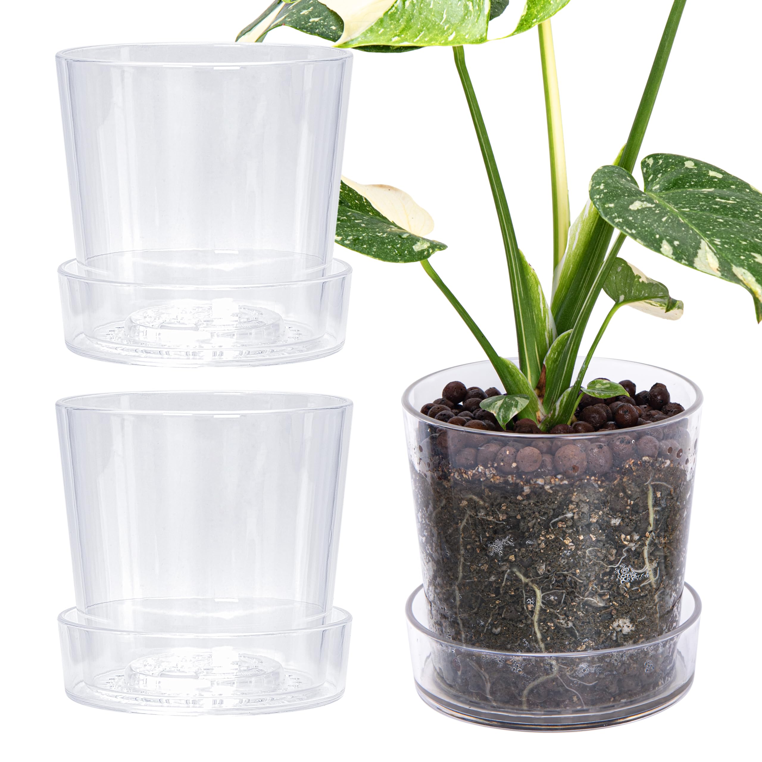 Amazon.com : Phoenix Vine 6.5 Inch Clear Acrylic Planter Pot with Tray ...