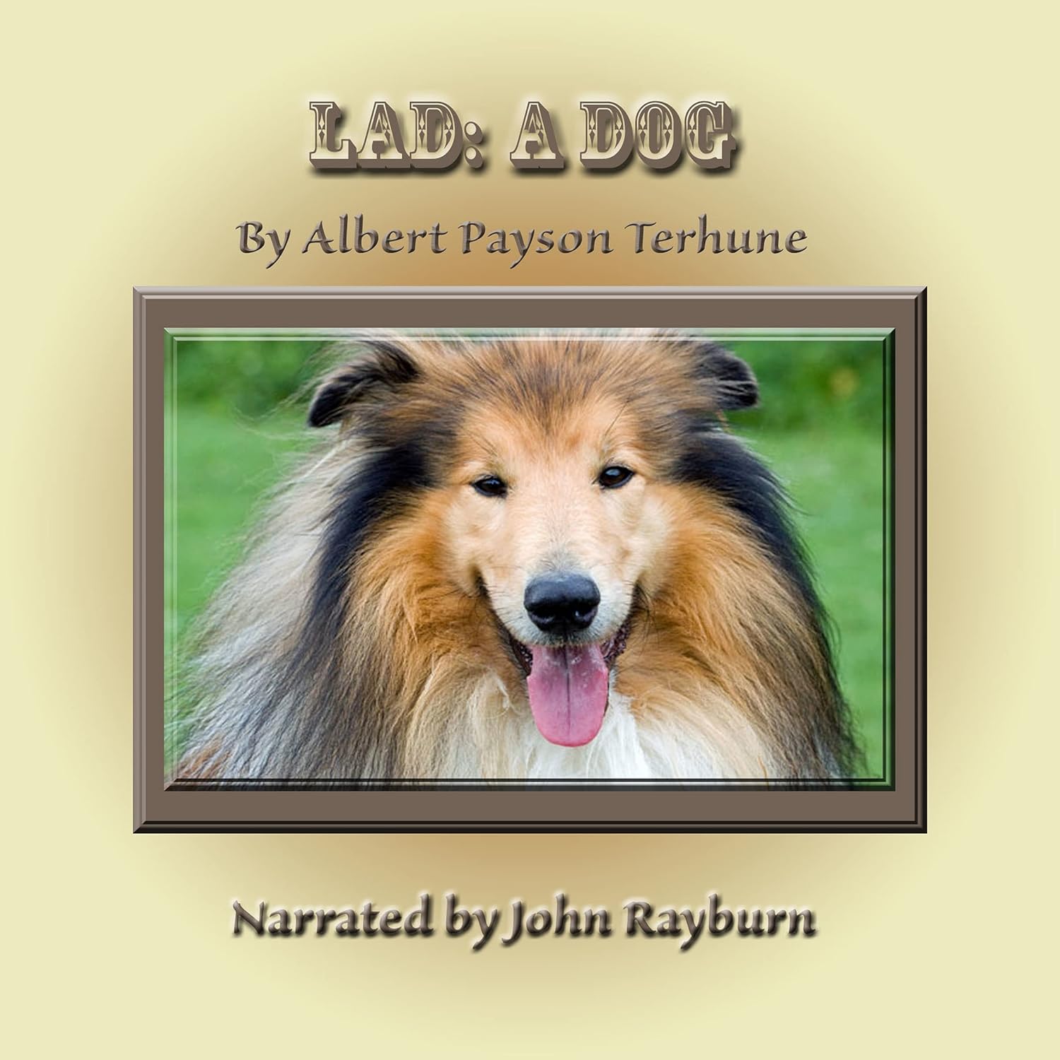 Lad: A Dog: Albert Payson Terhune: 9781665103404: Amazon.com: Books