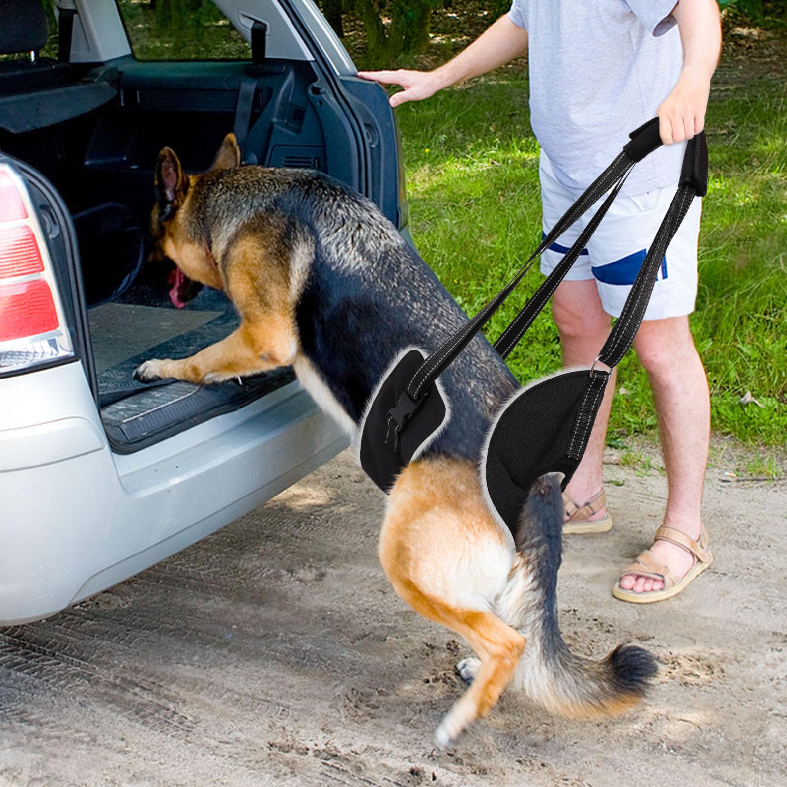 Snapklik.com : XL Dog Sling For Back Legs Large, Rear Leg Support ...