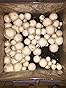 Amazon.com: White Button Mushroom Growing Kit ~ Easy to Grow Your Fresh ...