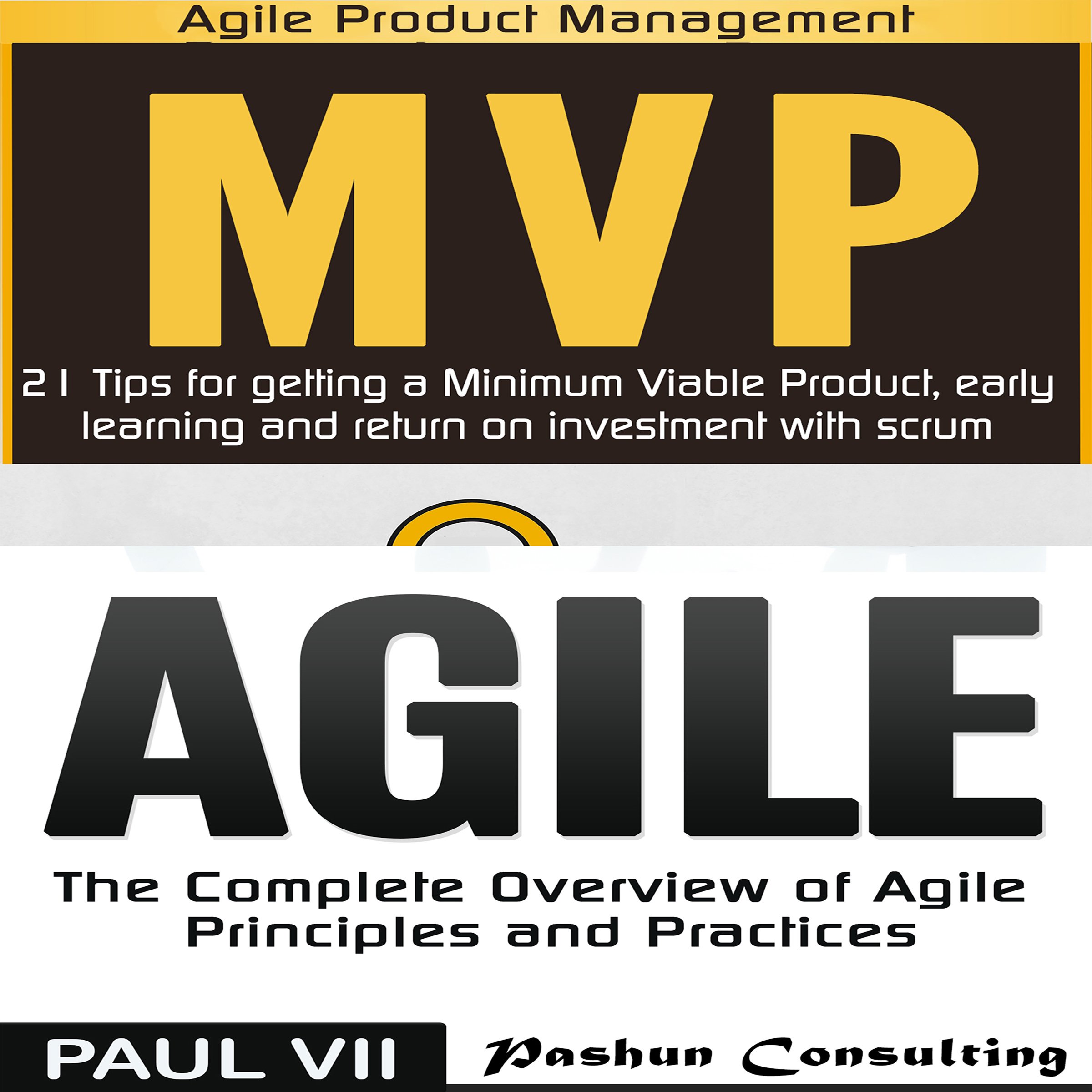 Buy Agile Product Management Box Set Minimum Viable Product With Scrum 21 Tips For Getting A