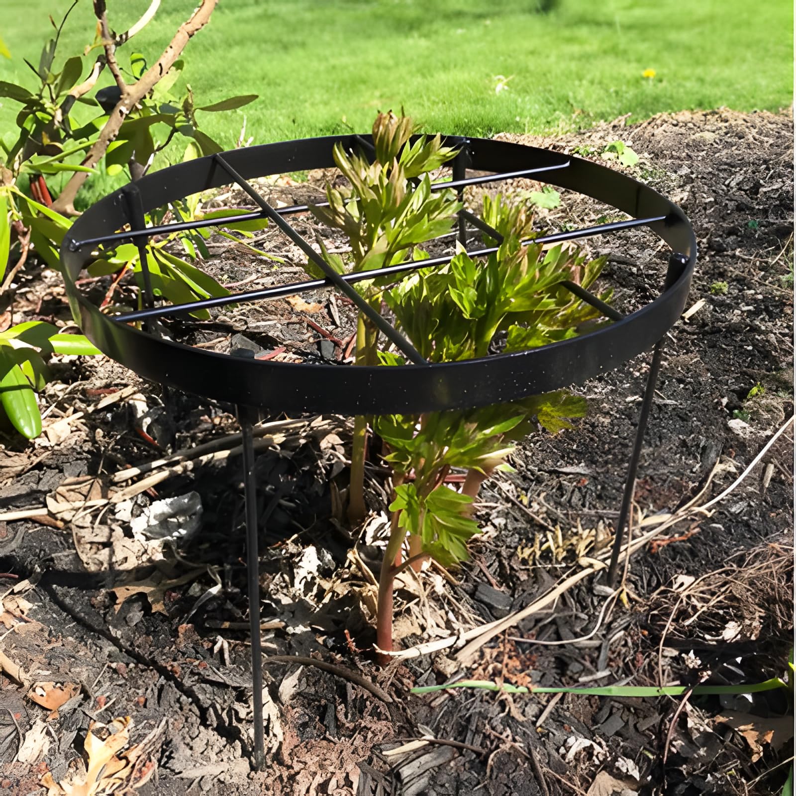 Amazon.com : GOOOXIM Large Peony Cages and Supports 18.9"x23.6 ...