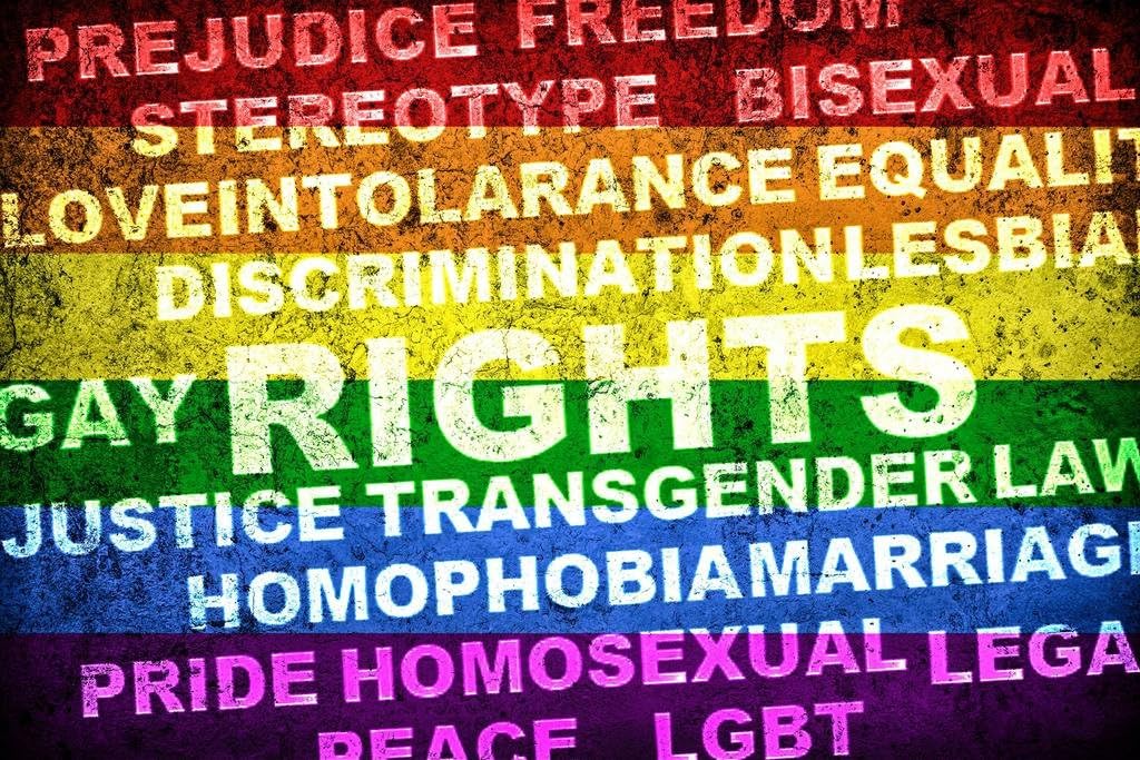 Amazon.com : Laminated Human Rights LGBT Transgender Lesbian Racism Gay ...