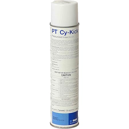 Amazon.com: BASF PT CY-Kick Pressurized Insecticide - 1 can (17.5 oz ...