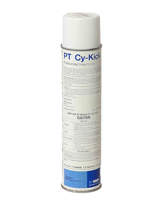 Amazon.com: BASF PT CY-Kick Pressurized Insecticide - 1 can (17.5 oz ...
