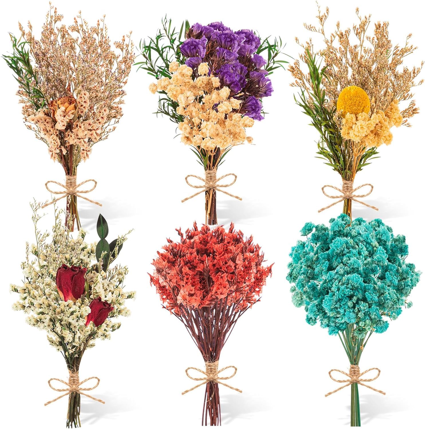 6 Pcs Dried Flowers for Crafts, Mini Dried Flowers with Stems for ...