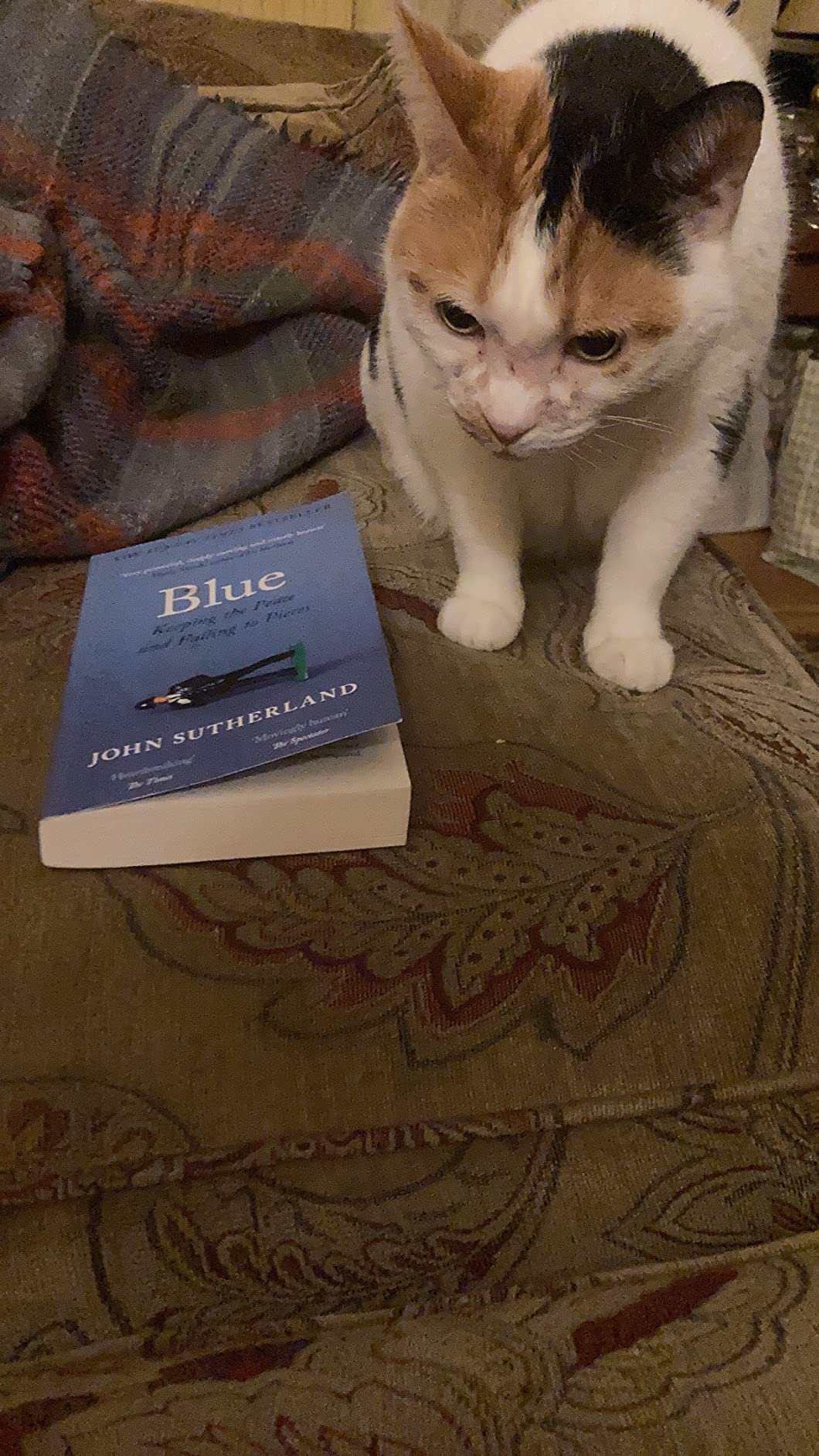 Blue: A Memoir – Keeping the Peace and Falling to Pieces: Amazon.co.uk ...