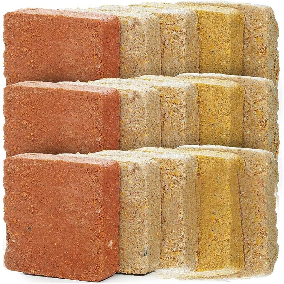 SQUAWK Suet Fat Blocks | Premium Grade Garden Wild Bird Food | Enhanced ...