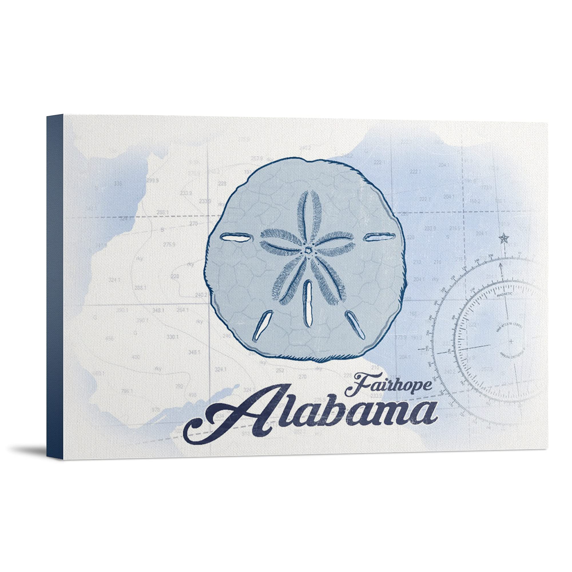 Sand Dollar Icon