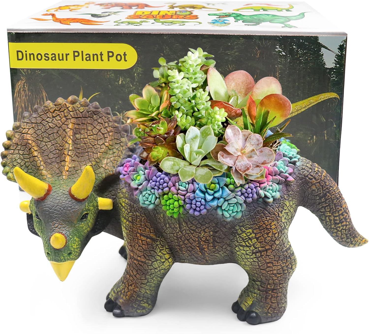 Amazon.com : VOOMIKON Plant Pot, Cute Medium Dinosaur Succulent Planter ...