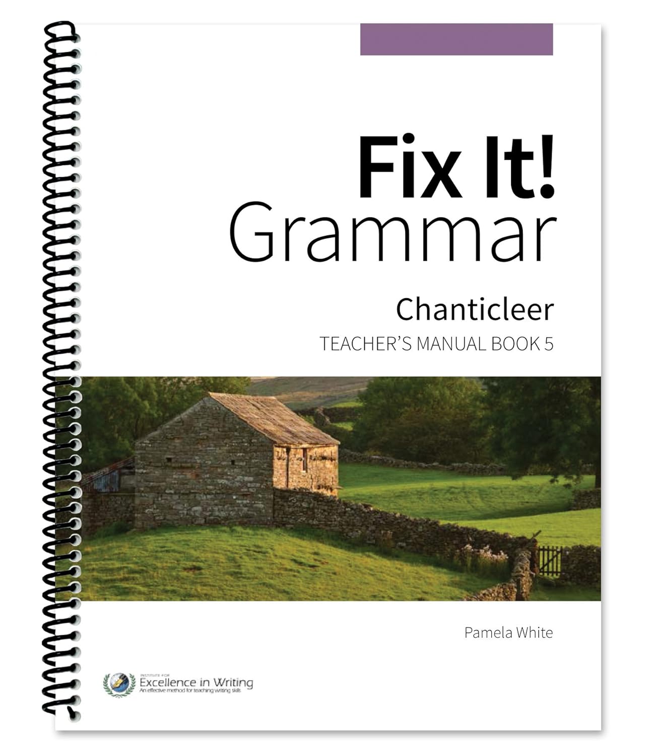 Fix It! Grammar: Chanticleer [Teacher’s Manual Book 5]: Pamela White ...