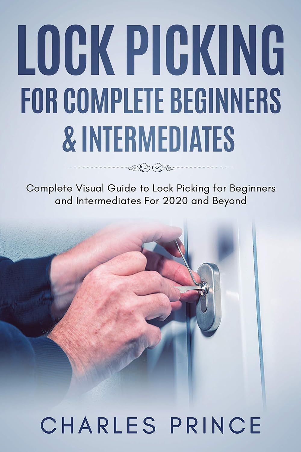 Lock Picking for Complete Beginners & Intermediates: Complete Visual ...