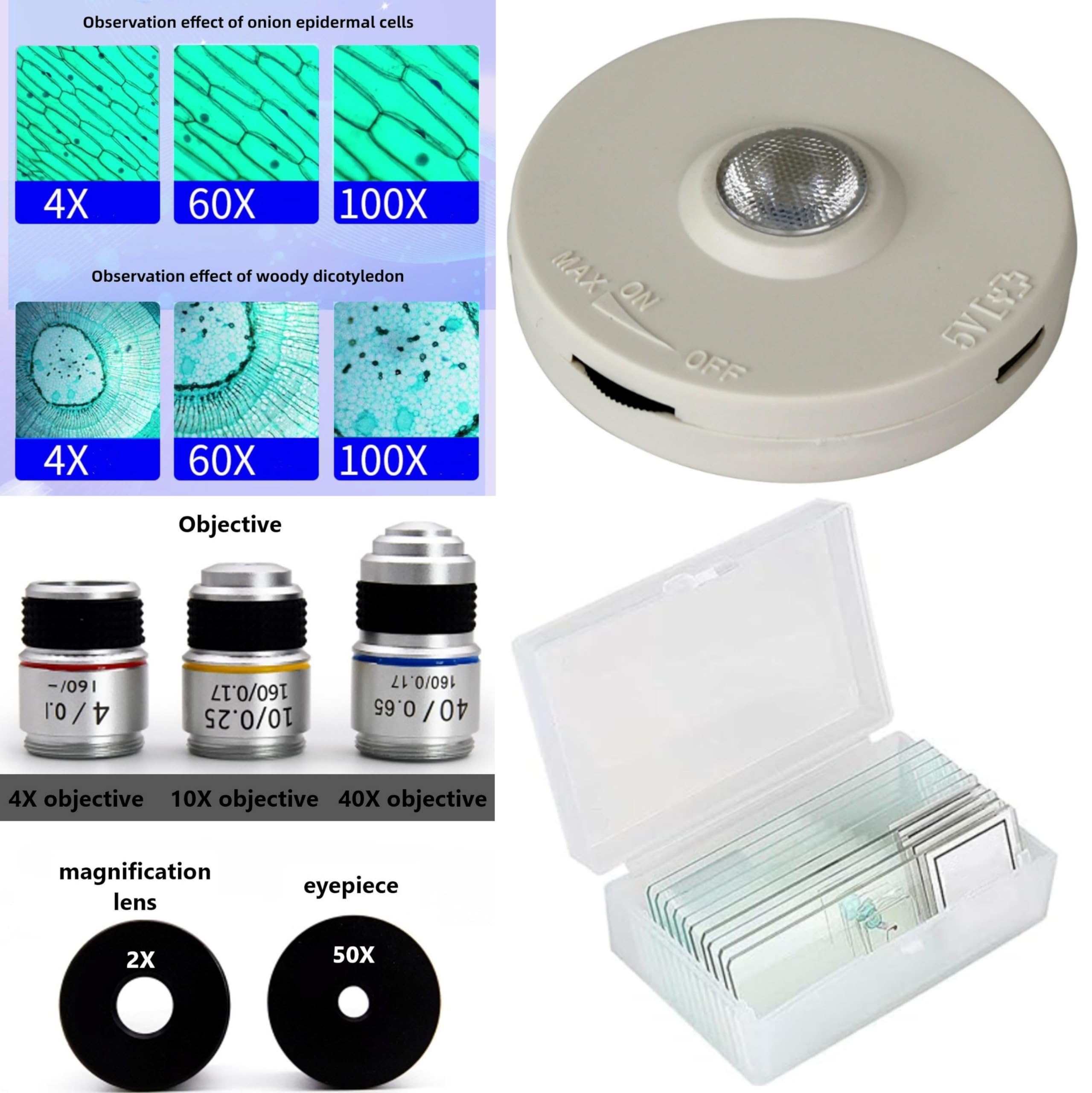 Capezio Kids Tic Tap Toe Tap Shoe Holder Microscope 2000x Microscope ...