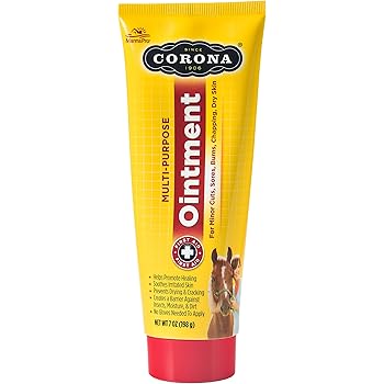 Amazon.com: Corona Multi-Purpose Ointment - 14 oz by Corona: Health ...