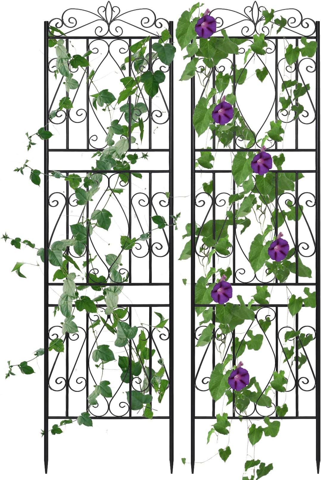 Amazon.com : AESOME Garden Trellis Decorative Outdoor: 82 inch Tall ...