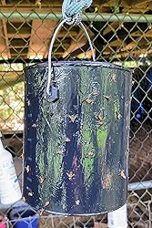 Amazon.com : Tanglefoot Tangle-Trap Sticky Coating (Brushable), 8 oz ...