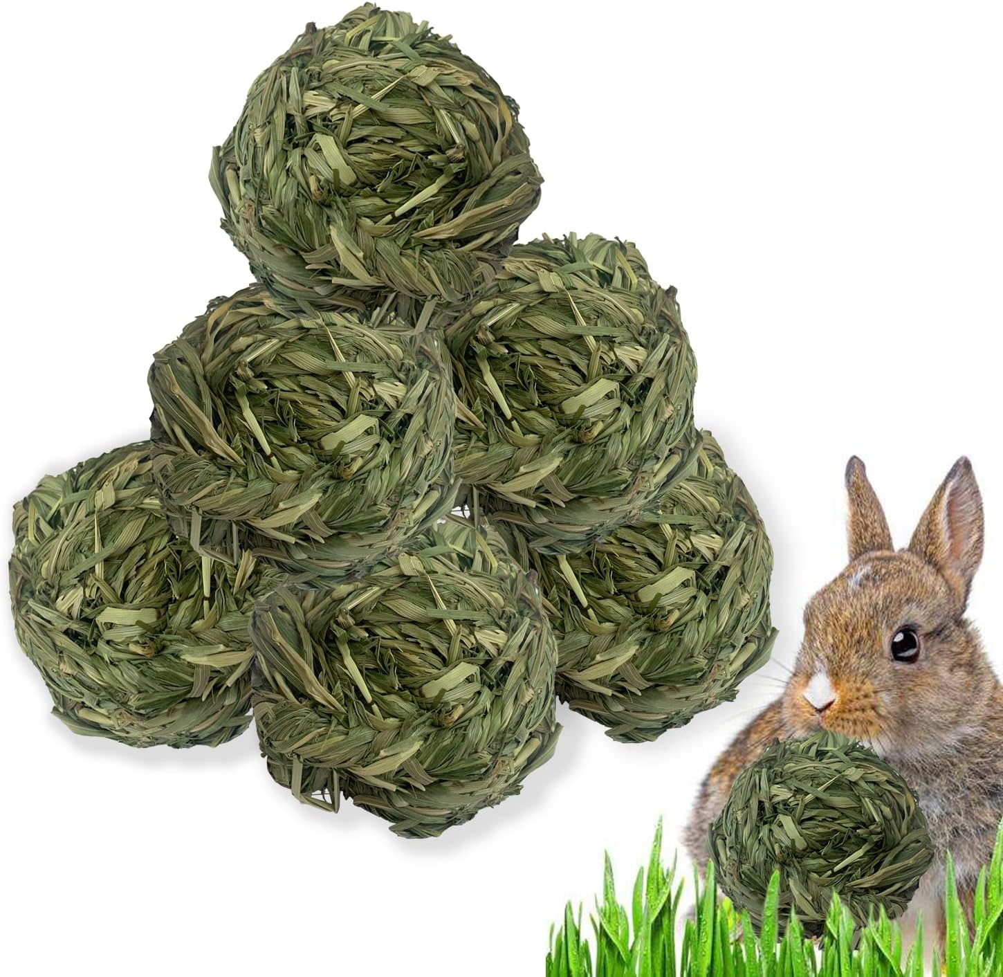 Amazon.com : Natural Timothy Grass Chew Toys for Small Animals ...