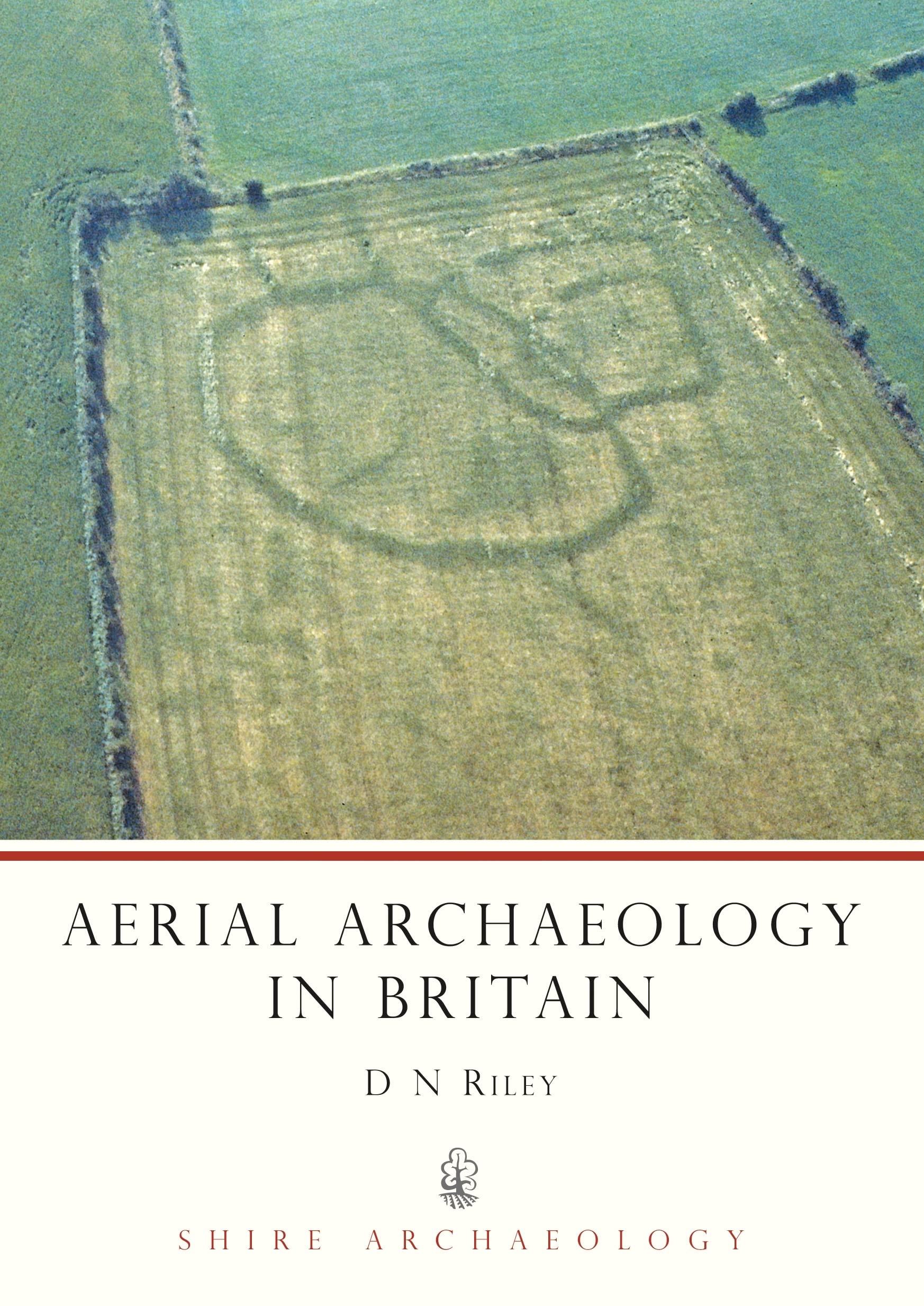 Aerial Archaeology in Britain (Shire Archaeology): Riley, D.N ...
