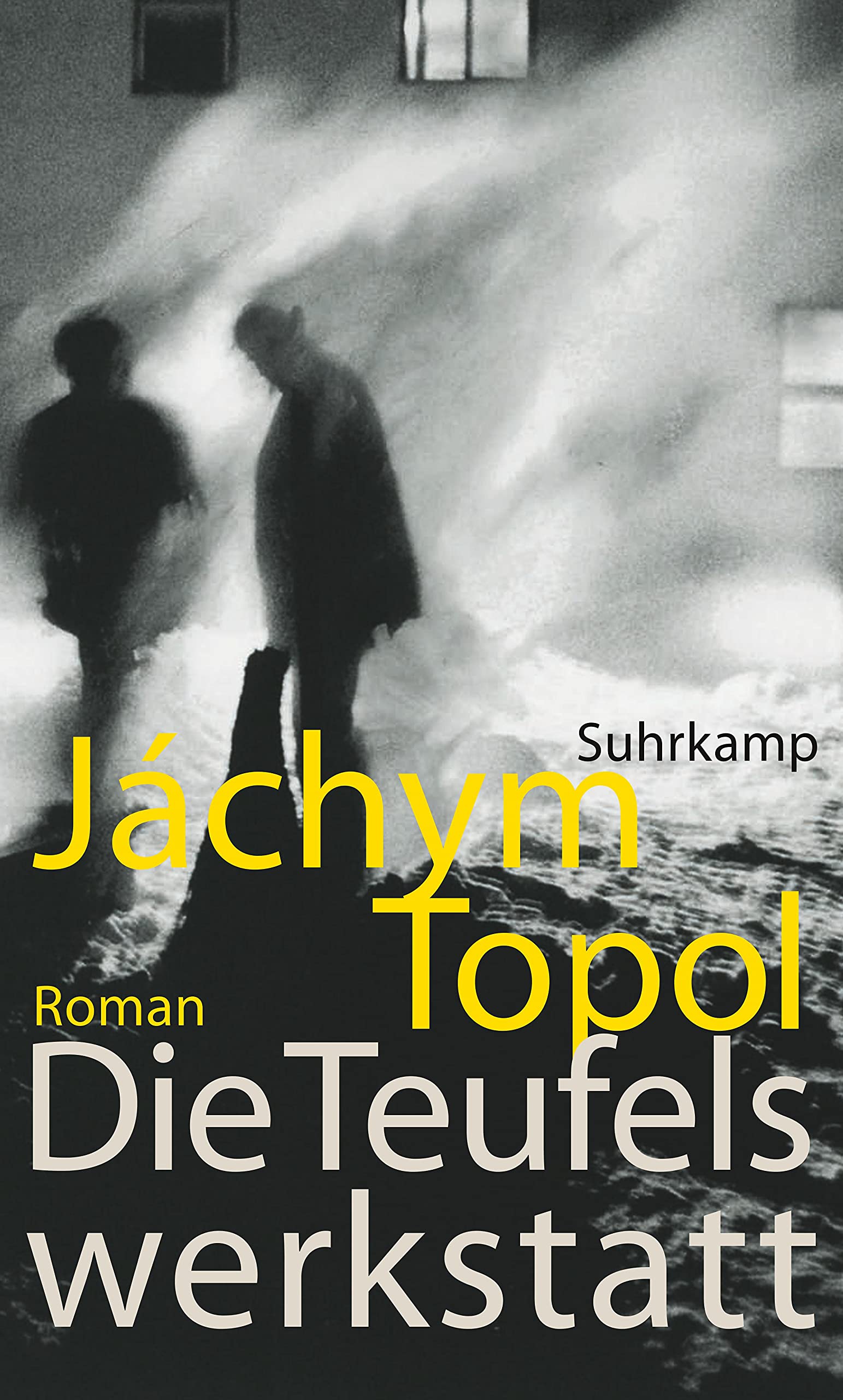 Die Teufelswerkstatt: Roman : Jáchym Topol, Eva Profousová: Amazon.de ...
