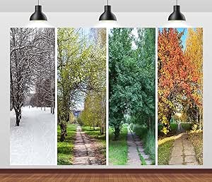 Amazon.com : Loccor 5x3ft Fabric Four Seasons Tree Backdrop Winter ...