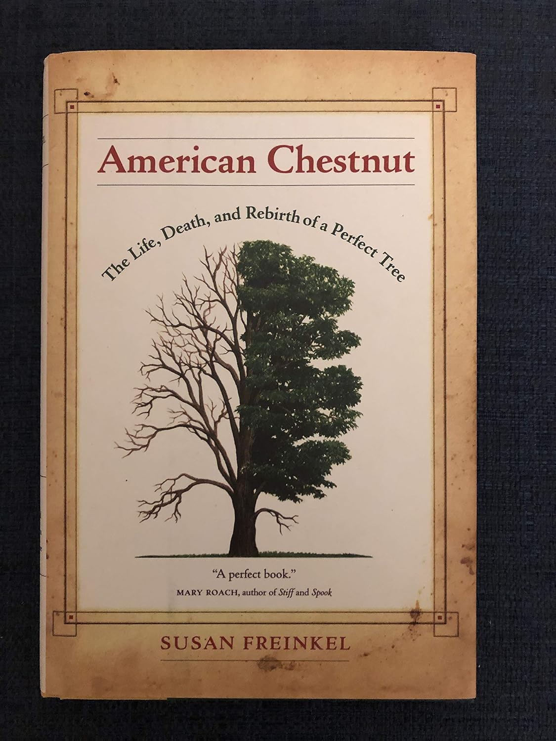 American Chestnut: The Life, Death, and Rebirth of a Perfect Tree ...