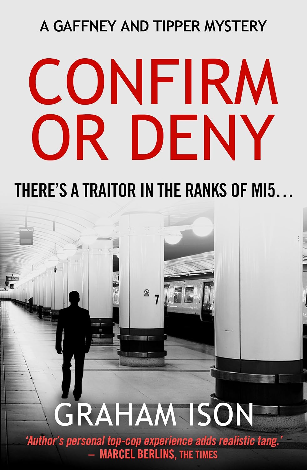 Confirm or Deny (Gaffney and Tipper Mysteries Book 2) eBook : Ison ...