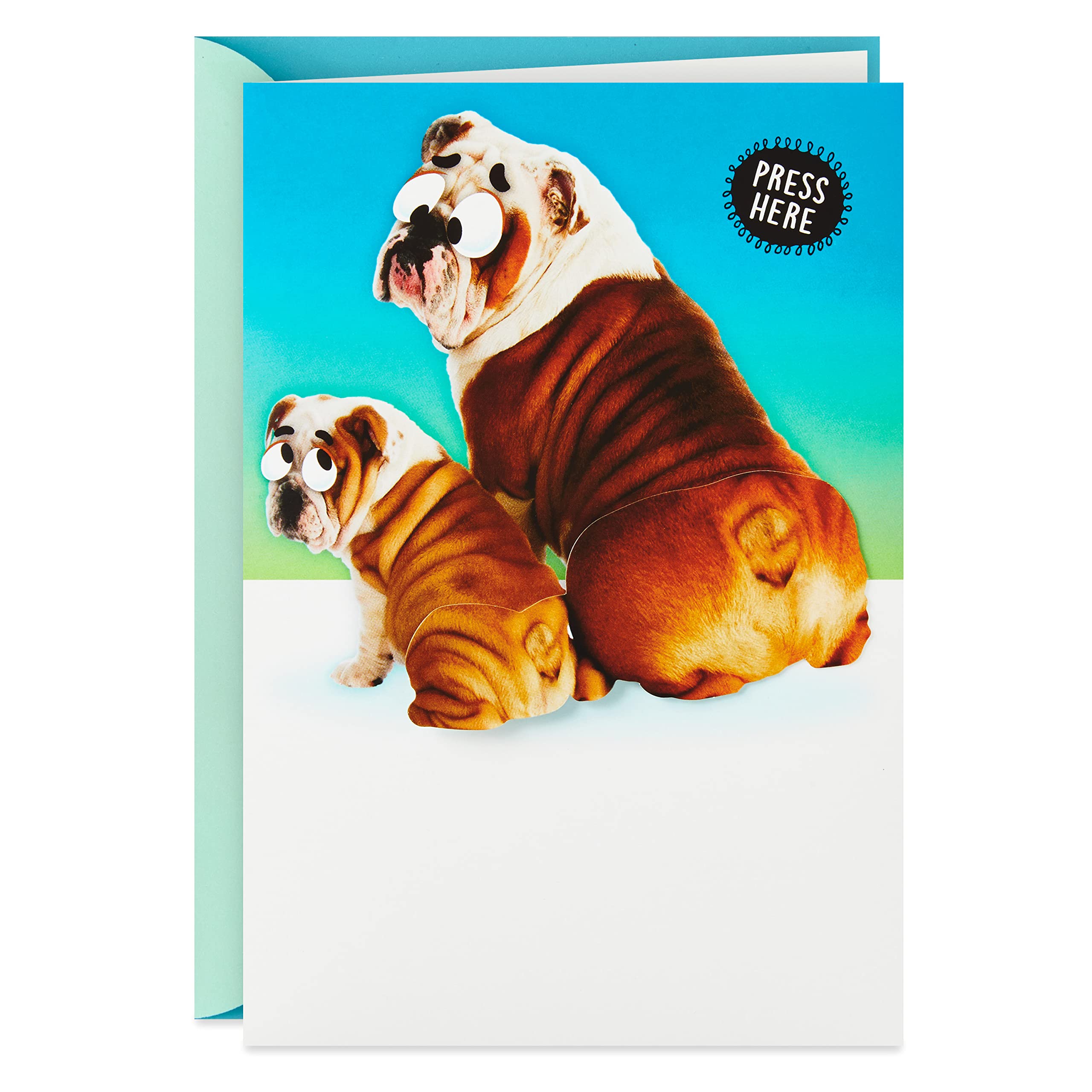 Why Do Bulldogs Fart So Much