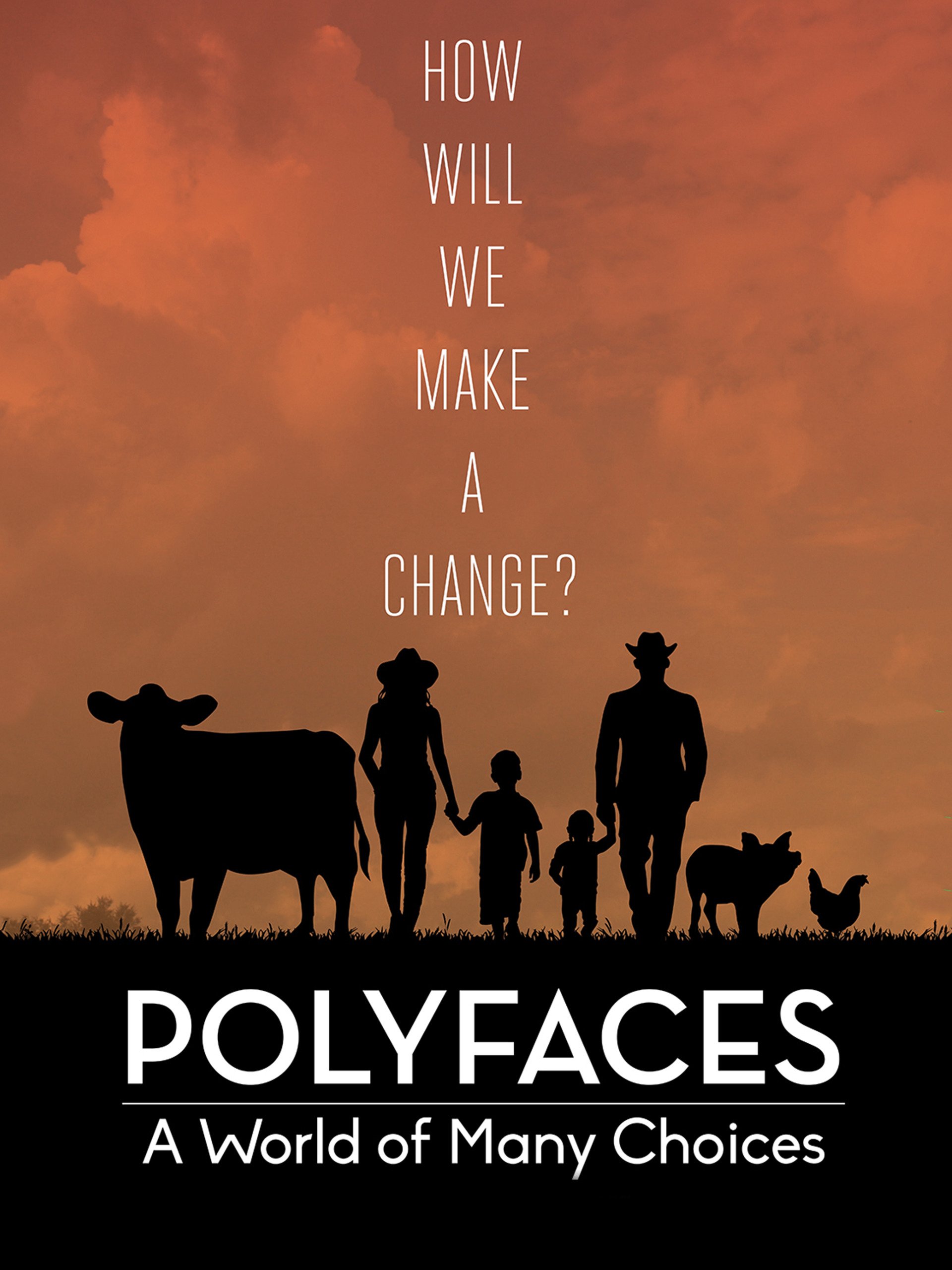 Watch Polyfaces | Prime Video