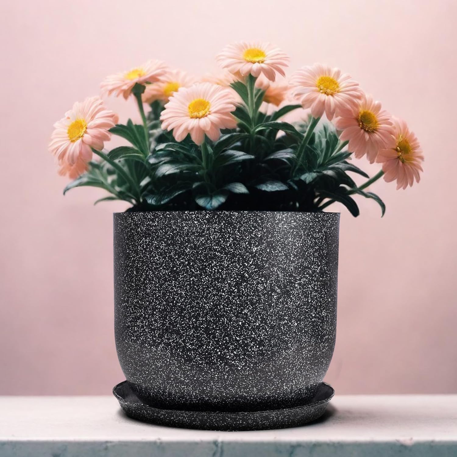 Amazon.com: Kuber Industries Flower Pot with Plate | 10 Inch ...
