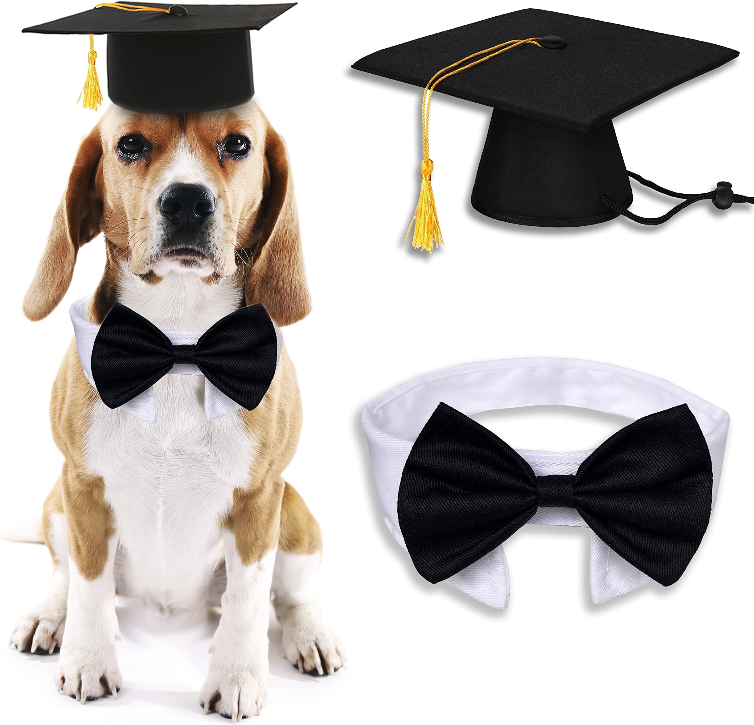 Amazon.com : 2024 Graduation Dog Bow Tie Necktie and Caps Costume set ...