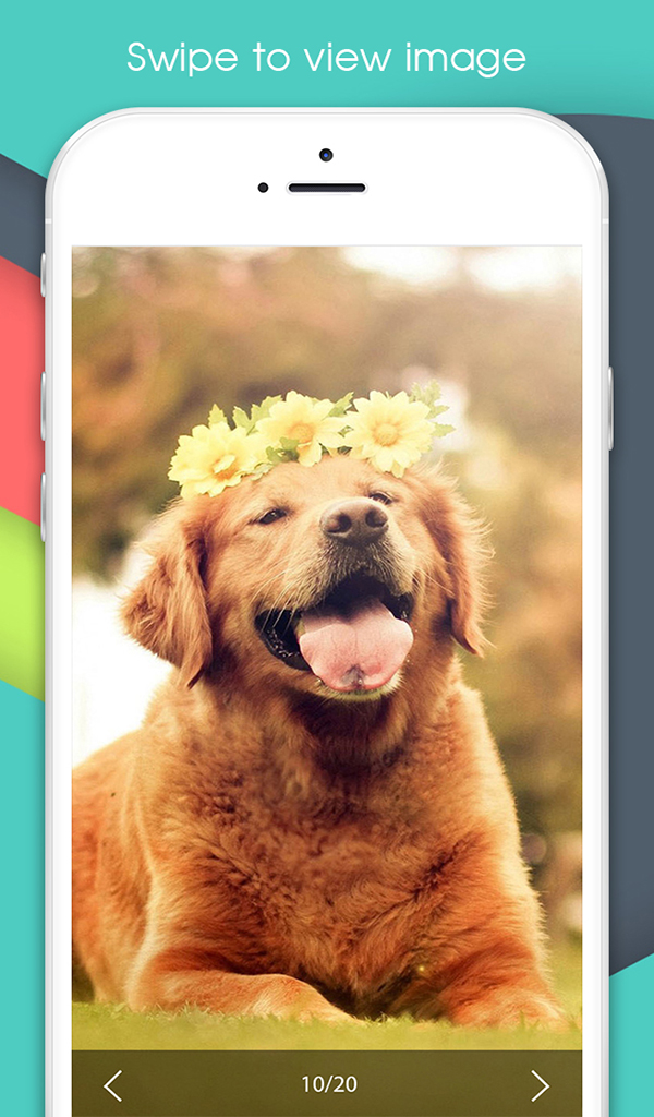 Photo Download - App on Amazon Appstore