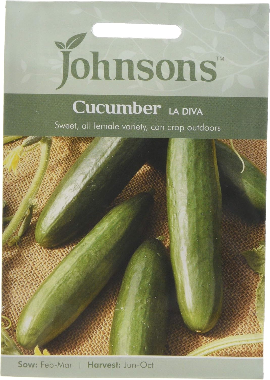 Johnsons Cucumber La Diva : Amazon.co.uk: Garden