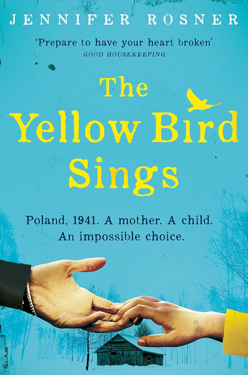 The Yellow Bird Sings : Rosner, Jennifer: Amazon.co.uk: Books