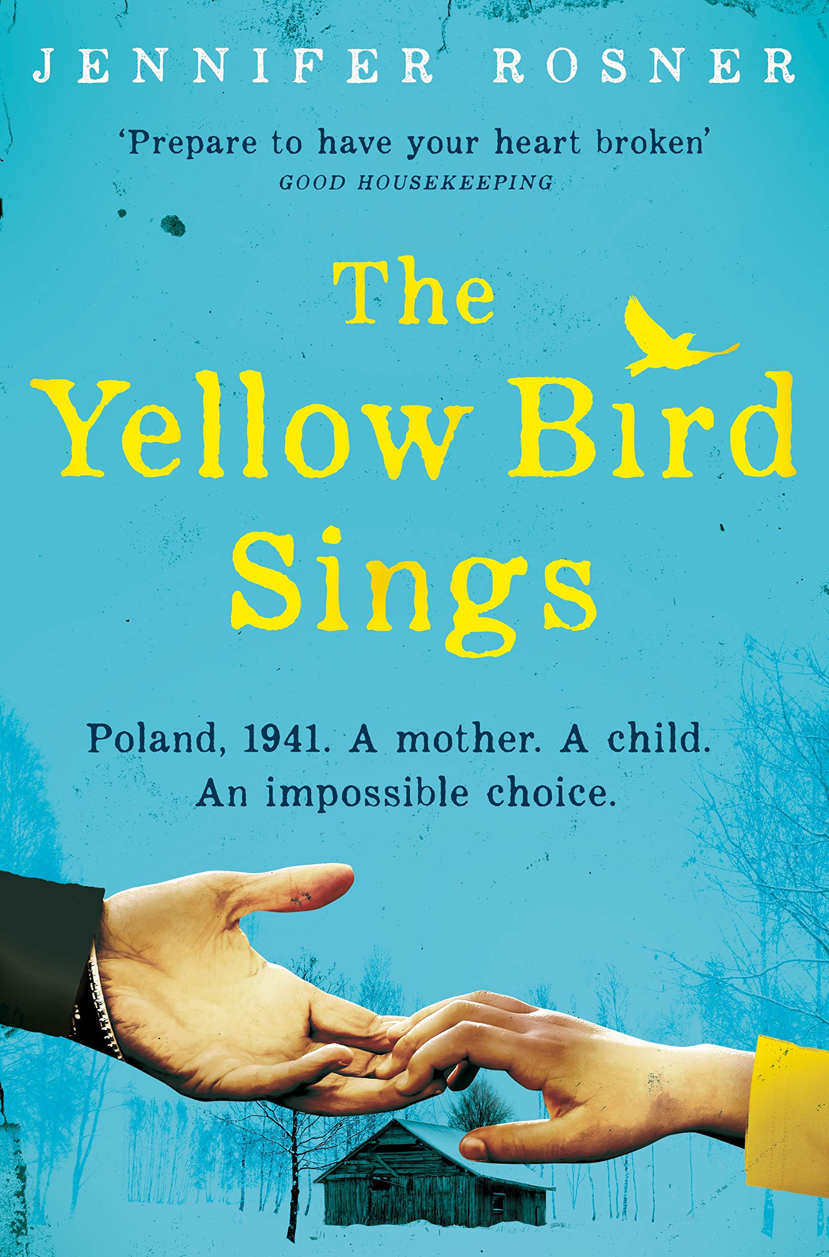 The Yellow Bird Sings : Rosner, Jennifer: Amazon.co.uk: Books