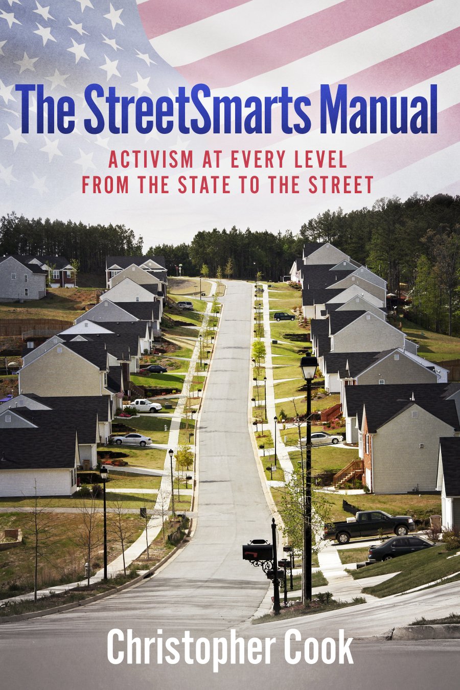 The StreetSmarts Manual: Activism At Every Level . . . From The State ...