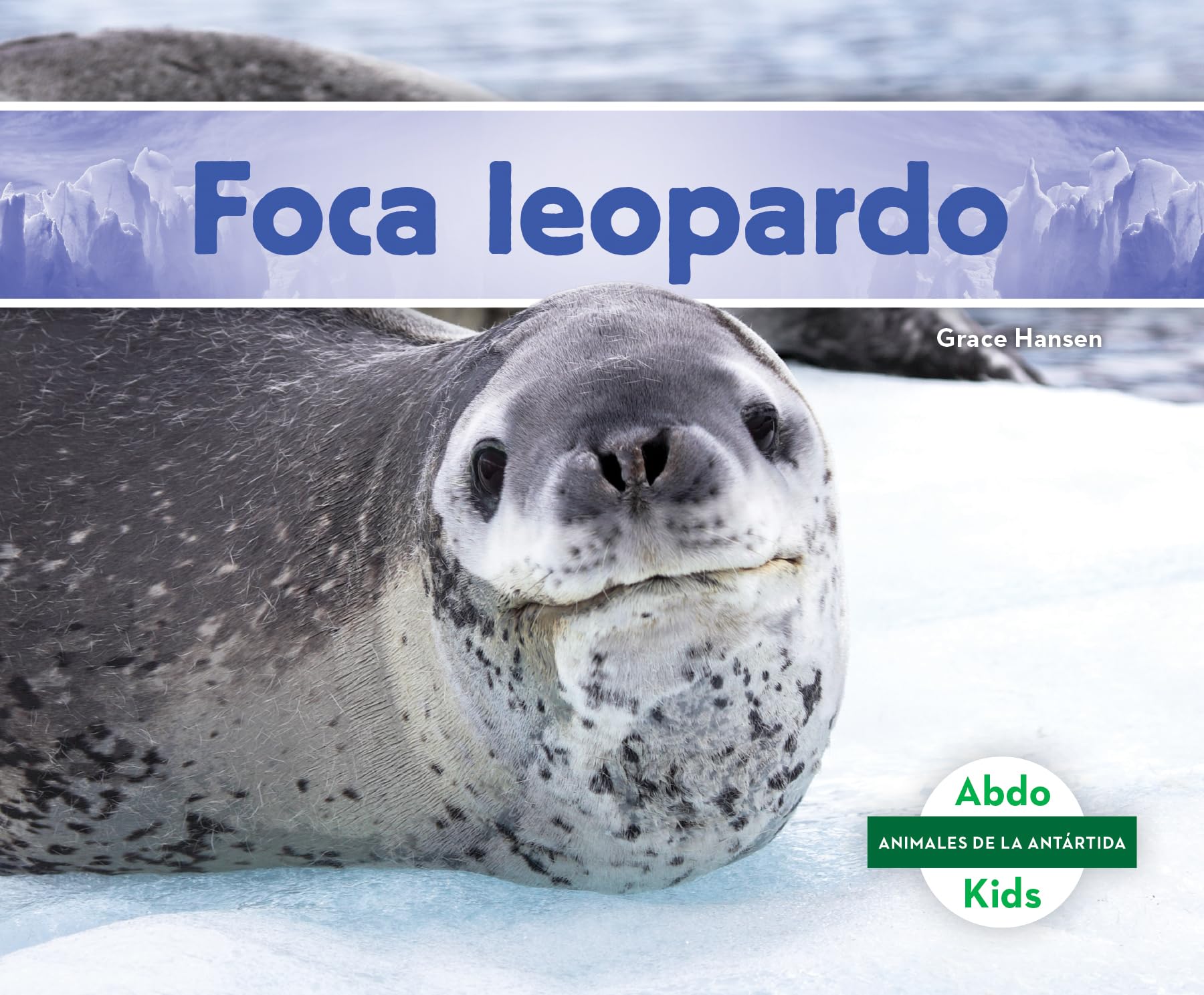 Comparación Del Tamaño De La Foca Leopardo
