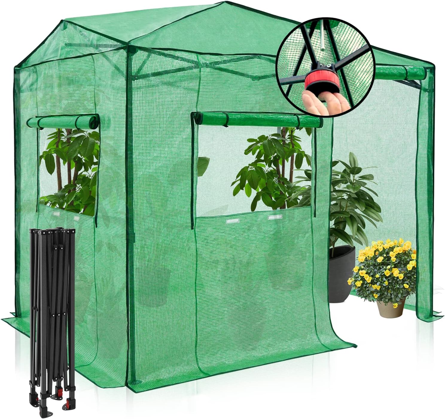 Amazon.com : Pop Up Greenhouse - 8ft x 6ft Portable Walk in Green House ...