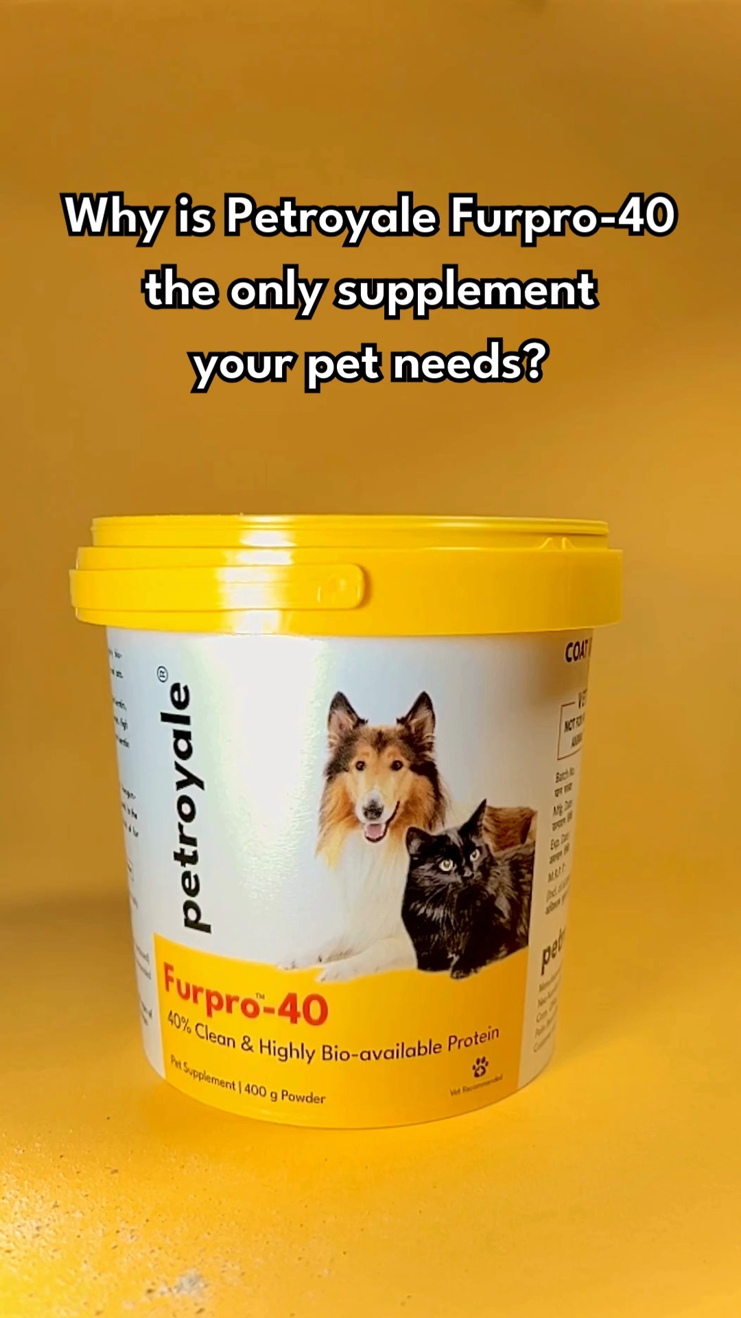 Watch Petroyale Dog Furoro-40 for Dogs & Cats on Amazon Live