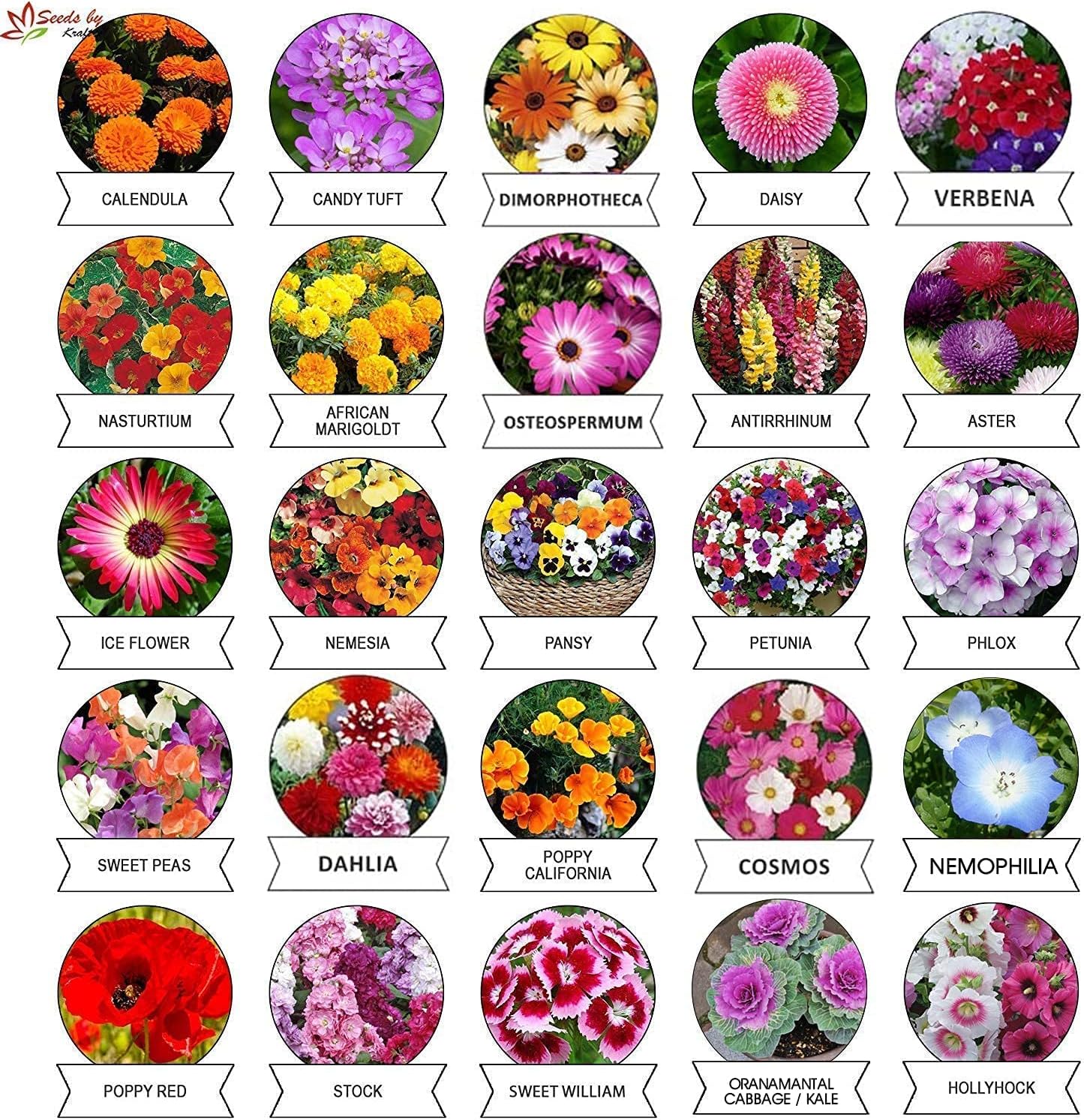 Kraft Seeds Fresh Flower Seeds for Home Gardening (25 Packets, Approx ...