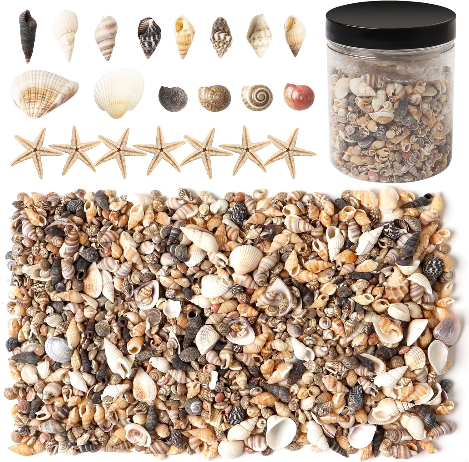Amazon.com: Qfeley 1000+ Pieces Tiny Sea Shells & 50 Pieces Starfish ...