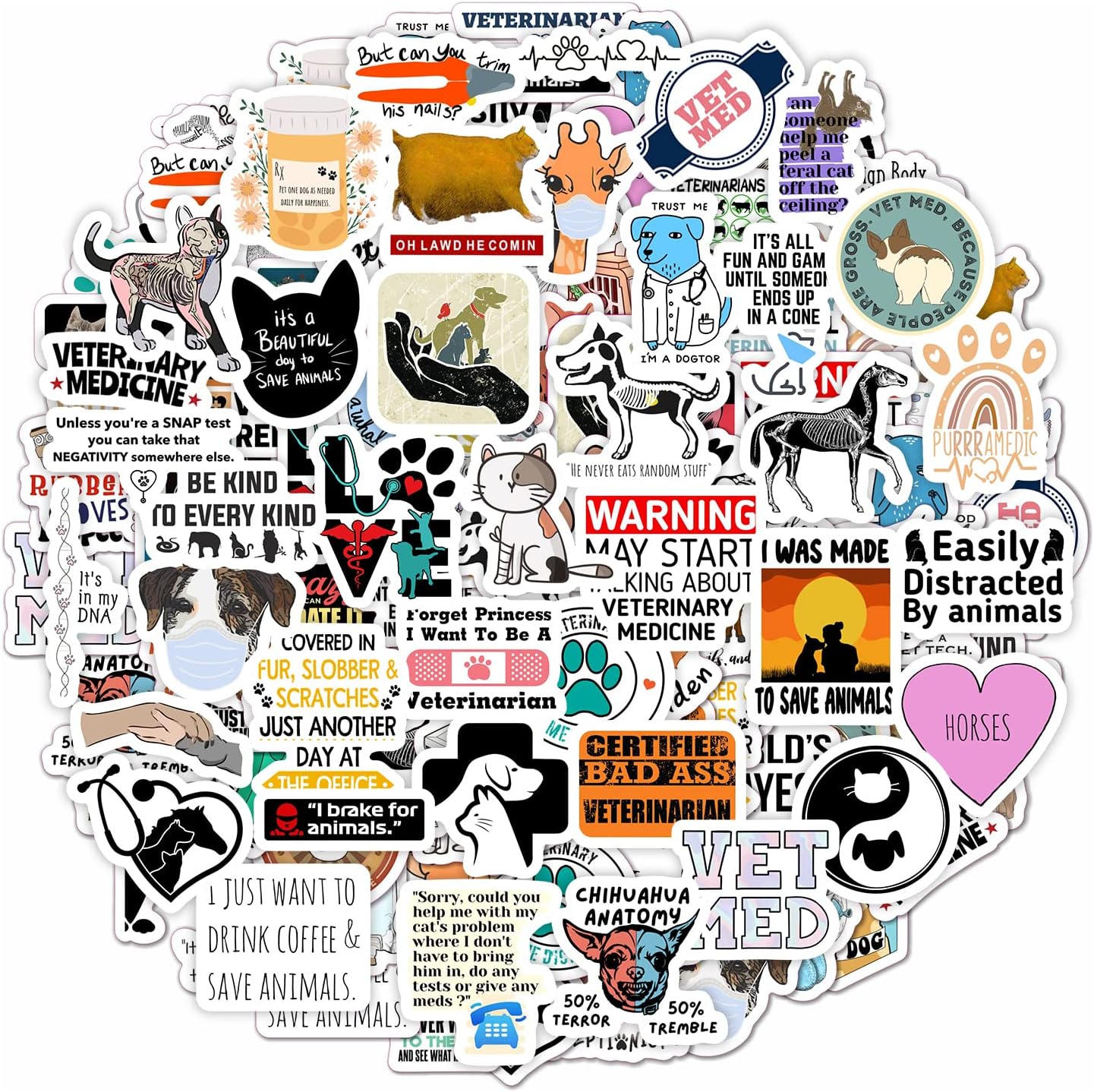 Amazon.com: HI-REEKE 50 pcs Spider Stickers Set, Jumping Spider Water ...