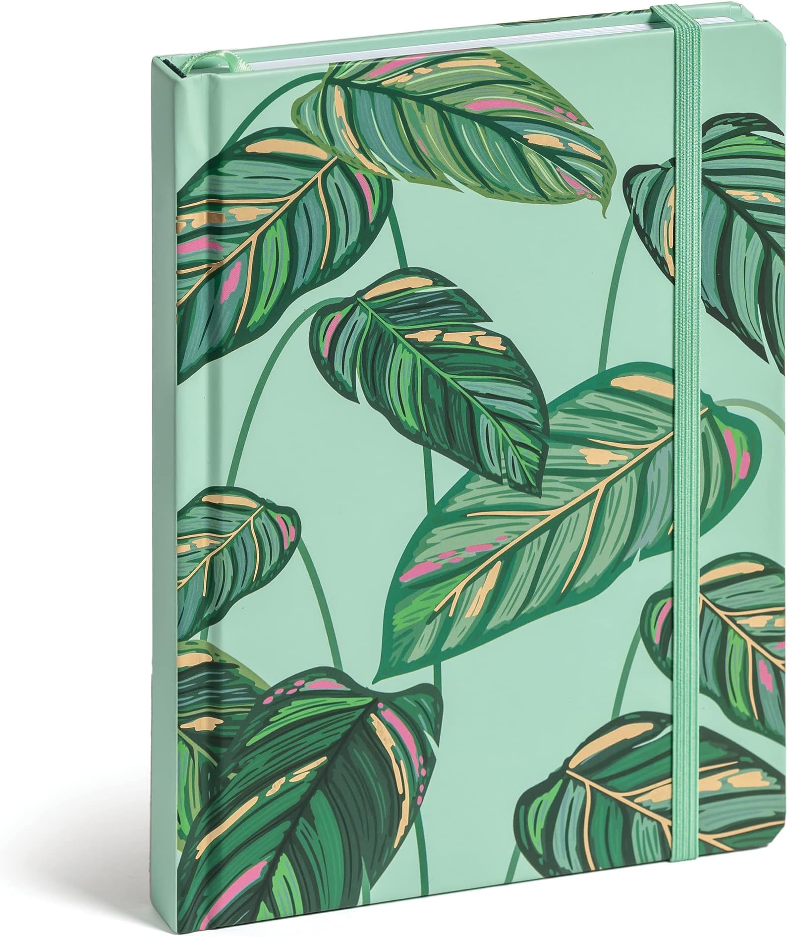 Amazon.com : High Note Fresh and Colorful Magnetic Vertical Make A List ...