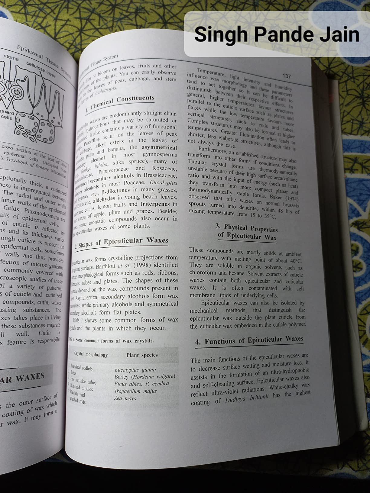 A Text Book Of Botany : Angiosperms : Pandey B.P.: Amazon.in: Books