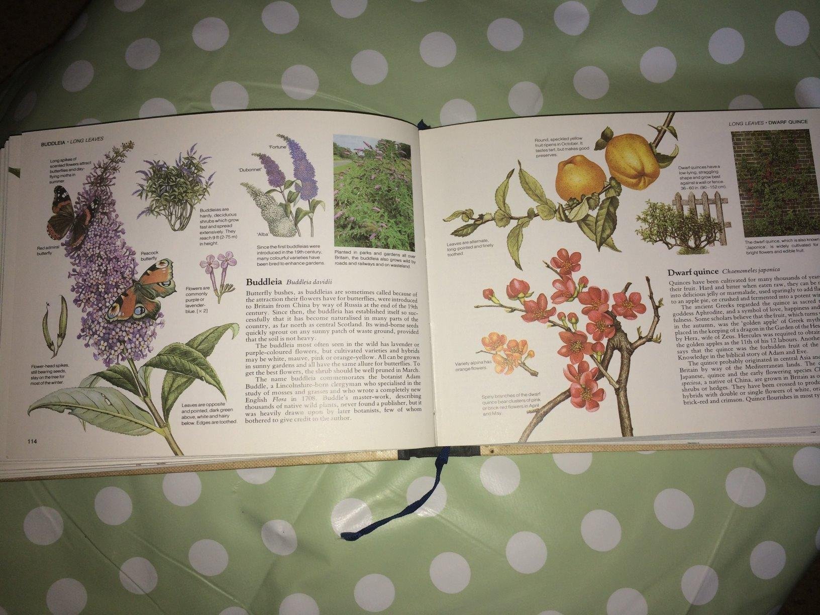 Field Guide to the Trees and Shrubs of Britain (Nature Lover's Library ...