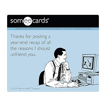 Someecards 2019 Calendar: ACCO Brands: 9781635714029: Amazon.com: Books